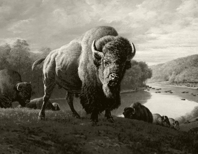 Buffalo Trace